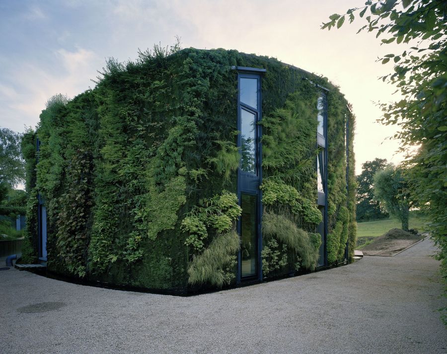 PARAMENTOS VERTICALES/JARDINES de Ivan Rebollo Peña | ArchDaily
