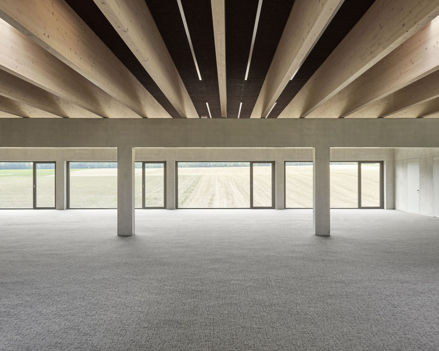 Techos de concreto de Elizabeth Torres | ArchDaily