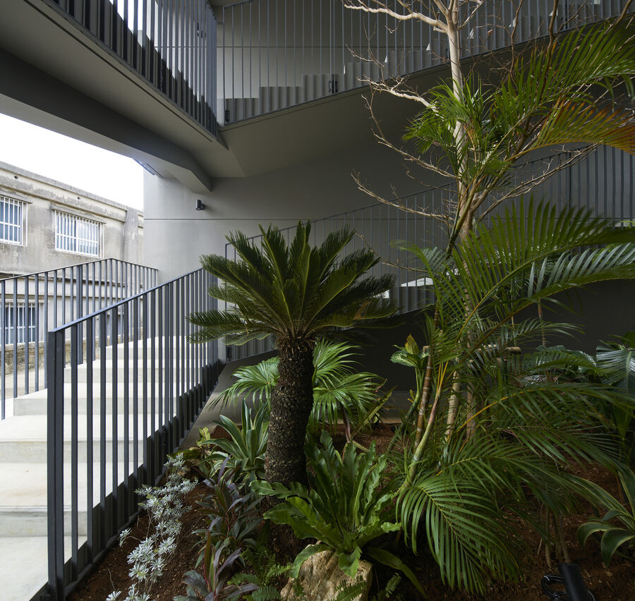 Housing by Matthew Daines | ArchDaily