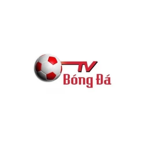 Bóng Đá TV | ArchDaily