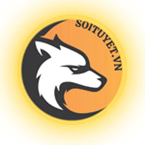 Vận chuyển sói tuyết - Vận chuyển Trung Việt số 1 | ArchDaily